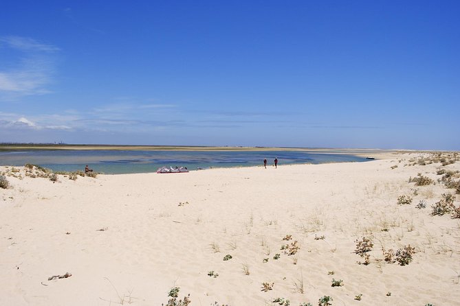 Ria Formosa Bird Watching Boat Trip Review - Meeting Point and Transportation