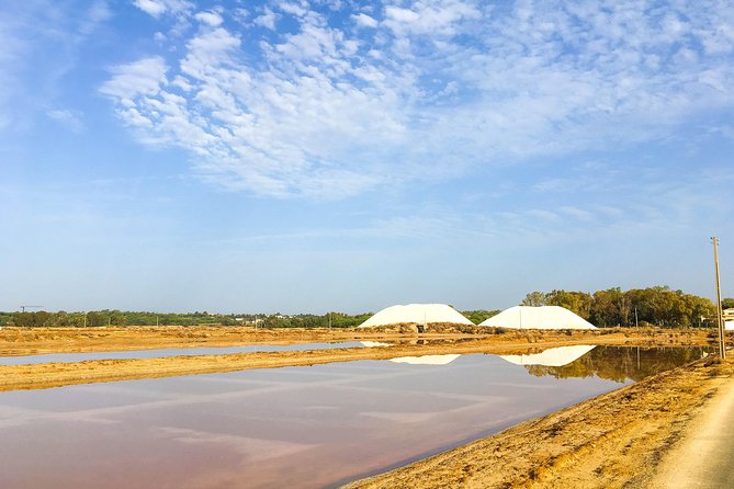 Ria Formosa Natural Park Birdwatching Segway Tour From Faro - Meeting Point and Pickup Options