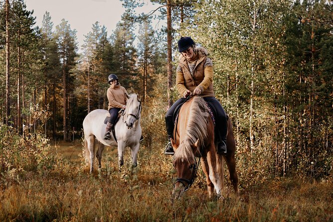 Riding Tour With Finnhorses at Santa Claus Village - Experience and Highlights