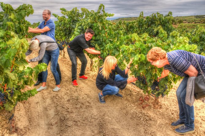 Rioja Alta and Rioja Alavesa Wine Tour - Wineries and Activities