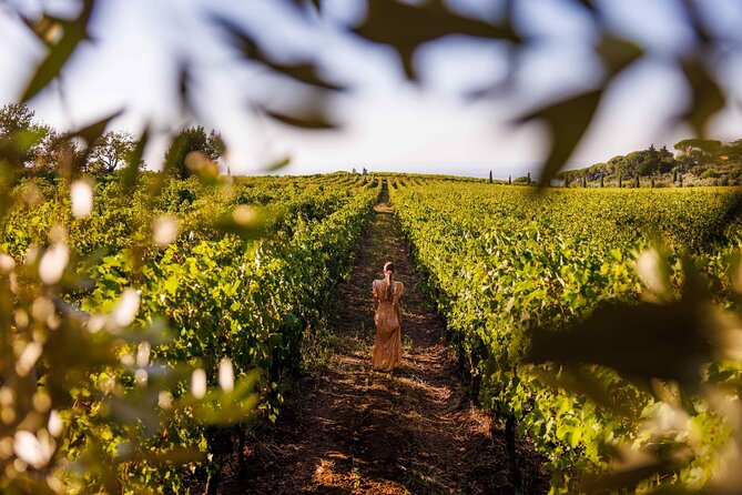 Romes Vineyard Symphony: Countryside Winetasting Experience - Discovering the Vineyard and Wine Tasting