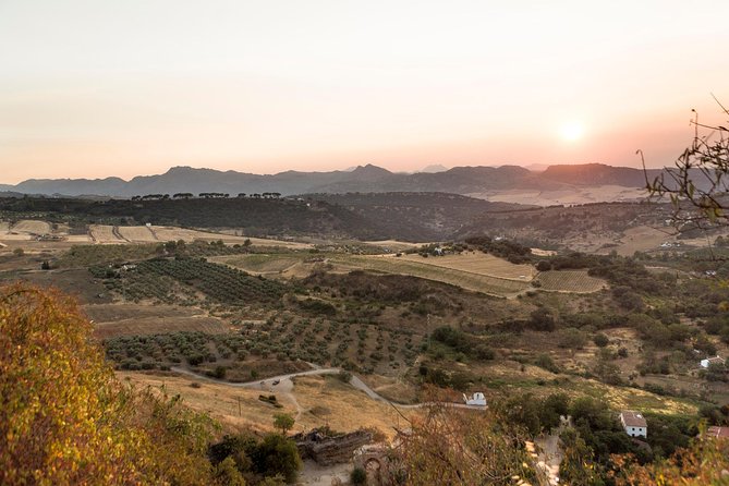Ronda Village Guided Tour From Costa Del Sol - Meeting Points and Logistics