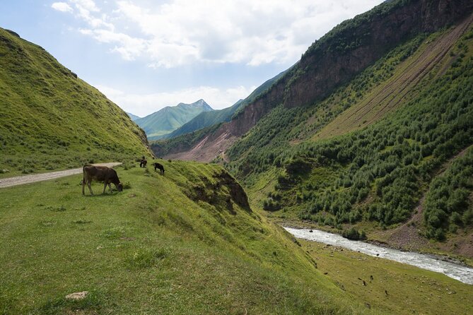 Round-Trip Bus Transfer to Truso Valley From Kazbegi - Tour Experience and Activities