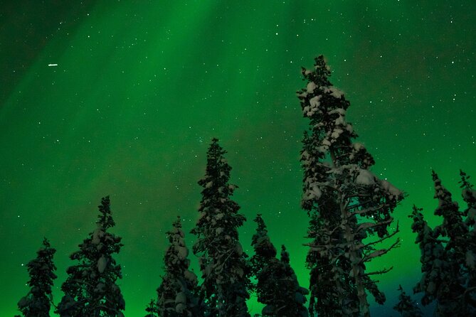 Rovaniemi 2 Days Activities Package - Husky and Reindeer Encounters