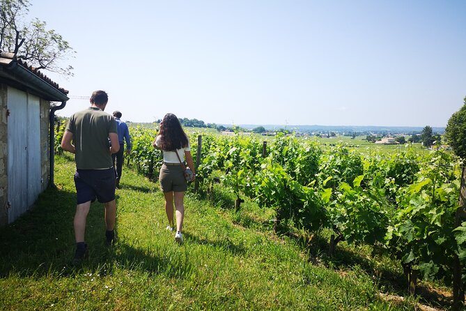 Saint-Emilion Private Full Day Wine Tour From Bordeaux - Additional Information