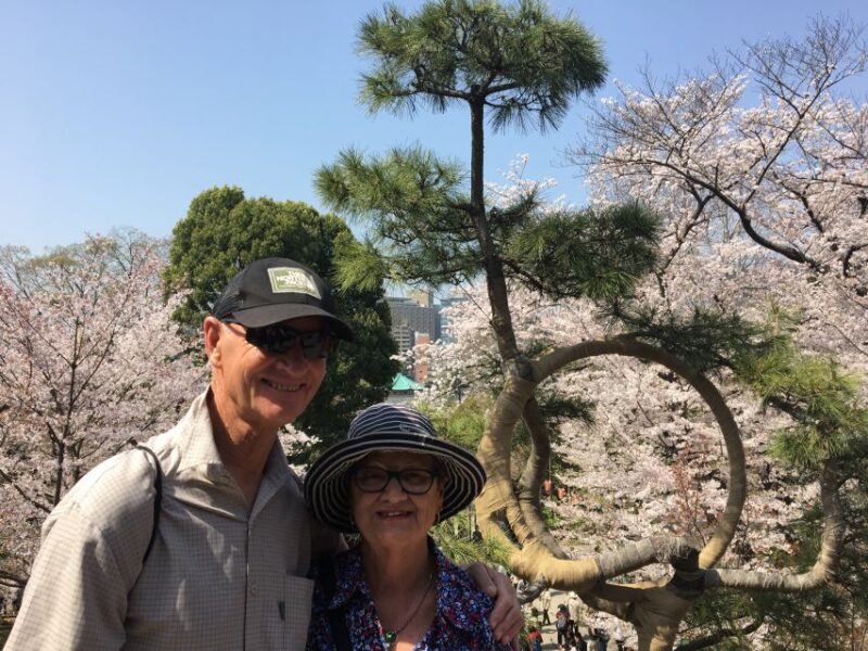 Sakura in Tokyo: Cherry Blossom Experience - Exploring Shinjuku Gyoen Park