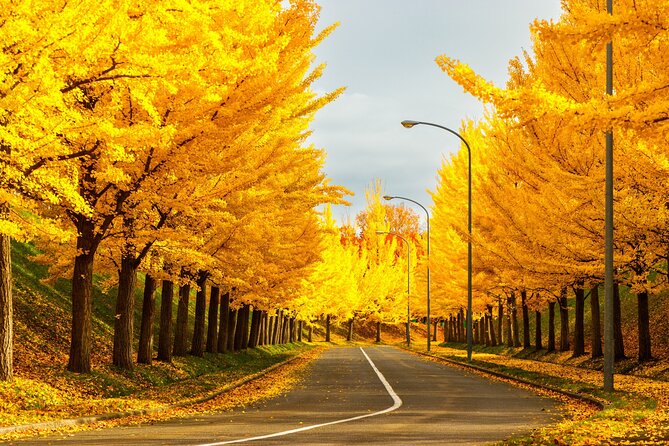 Sapporo Privete Tour: Royce Town, Autumn Foliage, Sunset Viewing - Meeting and Pickup