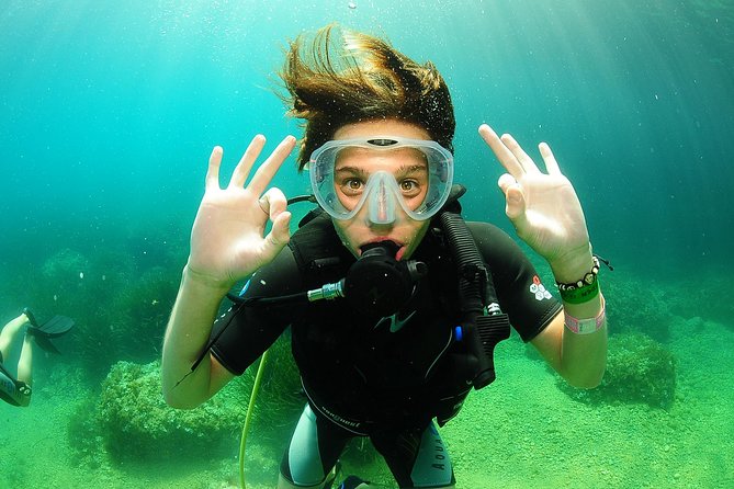 Scuba Diving Baptism and Snorkeling Review - Taking in the Marine Environment