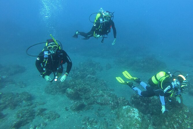 Scuba Diving - Dive Site Highlights