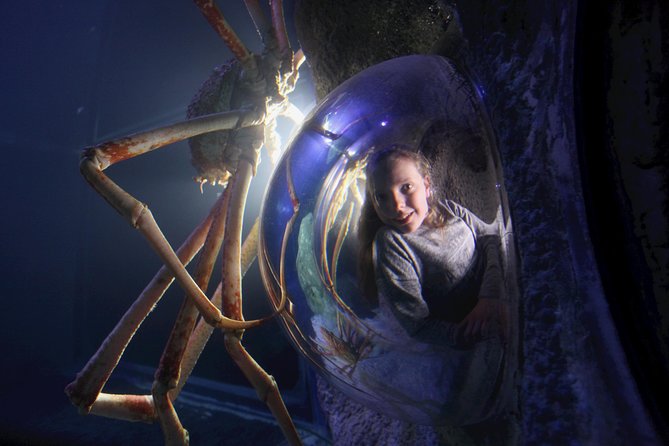 SEA LIFE Manchester Admission Ticket - Highlights of the SEA LIFE Experience