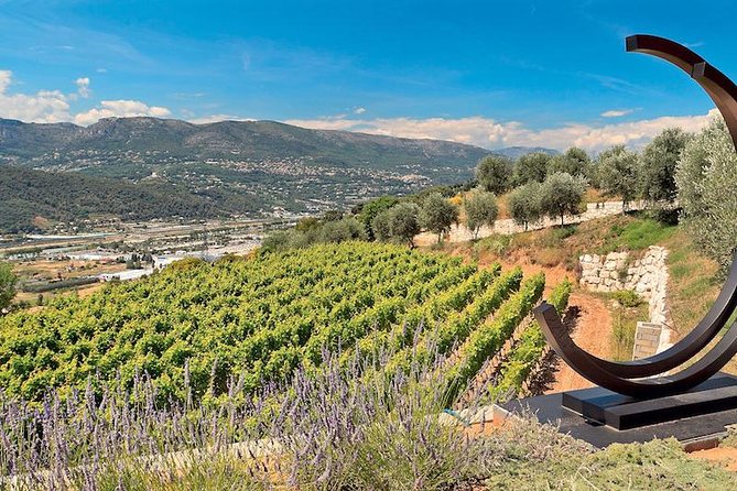 Semi Private Organic Wine & Food Tasting Tour (From Nice) - Tour Experience