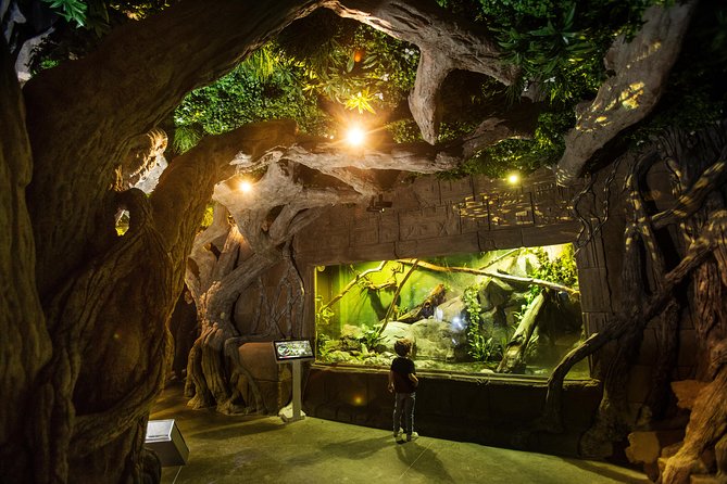 Seville Aquarium Admission Ticket - Visiting the Seville Aquarium