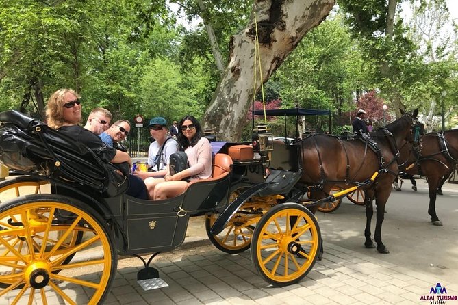 Seville Guided Horse Carriage Private Tour - Accessibility and Participation