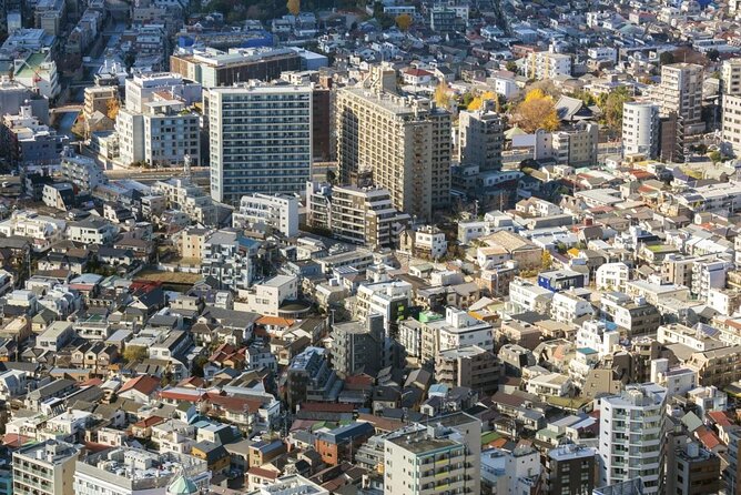 Shoppers Dream: Private Tokyo Shopping Tour in Luxury SUV - Tour Details