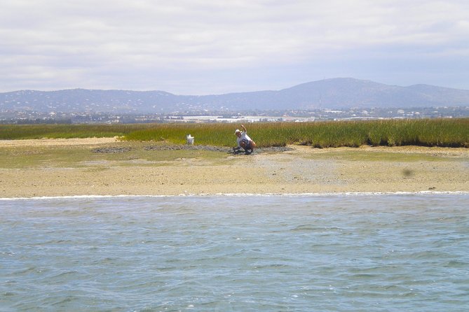 Short Boat Trip of the Algarves Ria Formosa Lagoon From Faro: 1 Hour - Meeting Point and Logistics