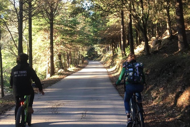 Sintra & Cascais E-Bike Guided Tour - Scenic Stops and Photo Opportunities