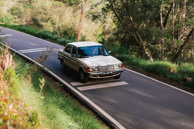 Sintra & Cascais Full Day - Private Tour in Classic Car or Van - Meeting and Pickup