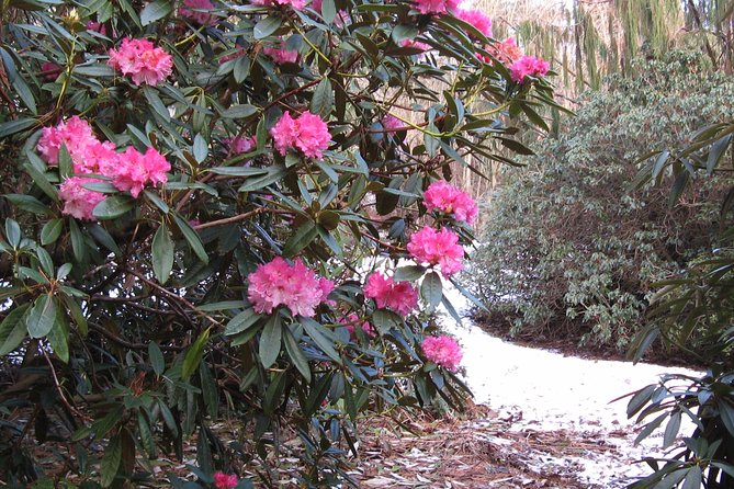 Skip-the-Line: Botanic Garden Entry Ticket - Customer Experiences and Suggestions