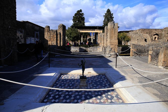 Skip-The-Line Half-Day Private Tour Ancient Pompeii Highlights With Native Guide - Meet Your Expert Guide