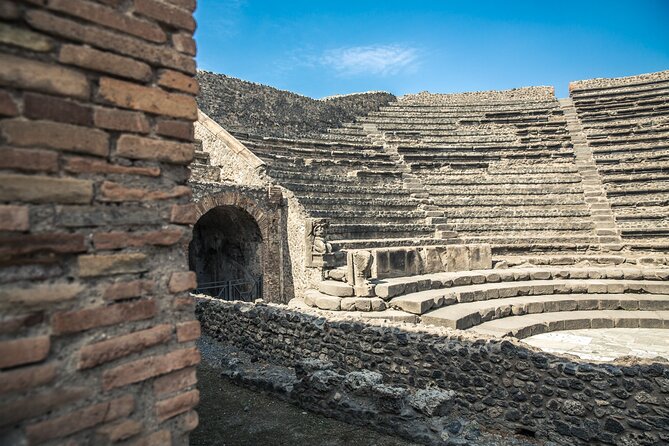 Skip-the-Line Pompeii Ruins Guided Tour - Meeting and Logistics
