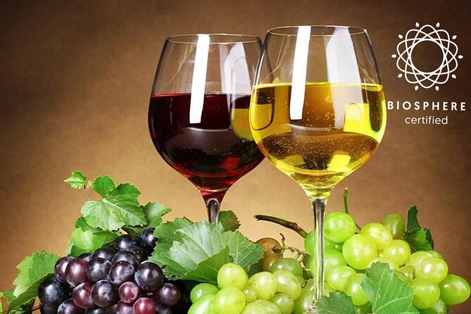 Skywalk, Madeira Wines Tasting and Vineyards 4x4 Experience - Madeira Wines Tasting Experience
