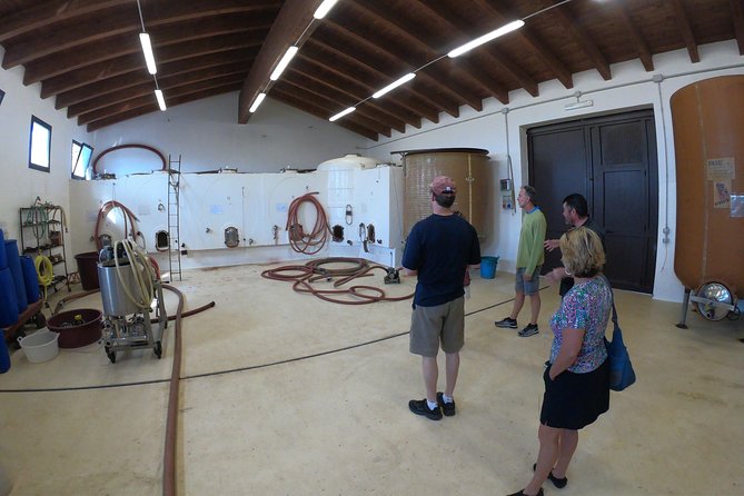 Small-Group Food and Wine Tour From Cagliari - Booking and Accessibility