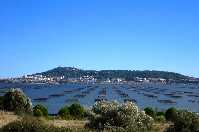 Small-Group Half-Day Languedoc Wine and Oyster Tour From Montpellier - Booking and Cancellation Policy