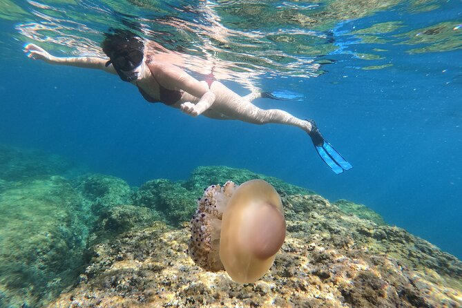 SNORKELING ADVENTURE | Pula Boat - Tour Details and Inclusions