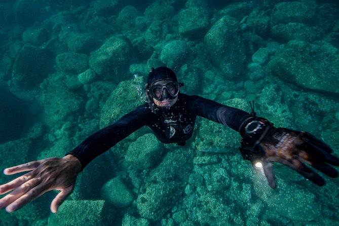 Snorkeling With Marine Biologist Expert From Sorrento - Encountering Diverse Marine Life
