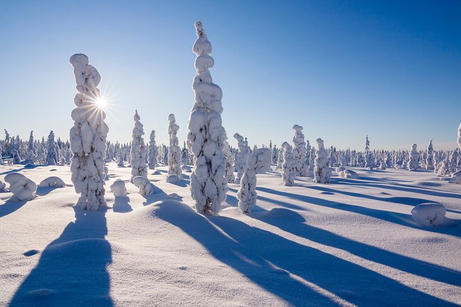 Snowmobile Safari on the Tundra - Customer Feedback Highlights