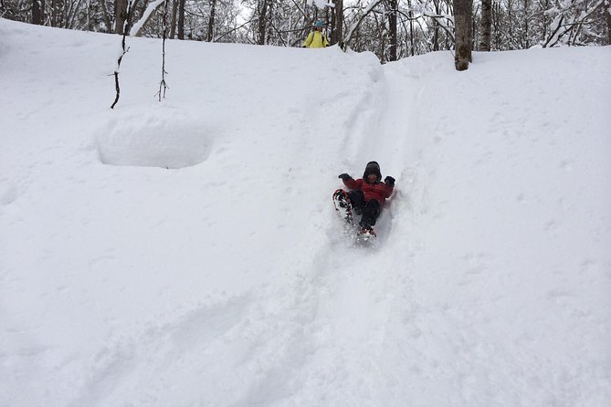 Snowshoe Hike Tour From Sapporo - Traveler Reviews and Feedback