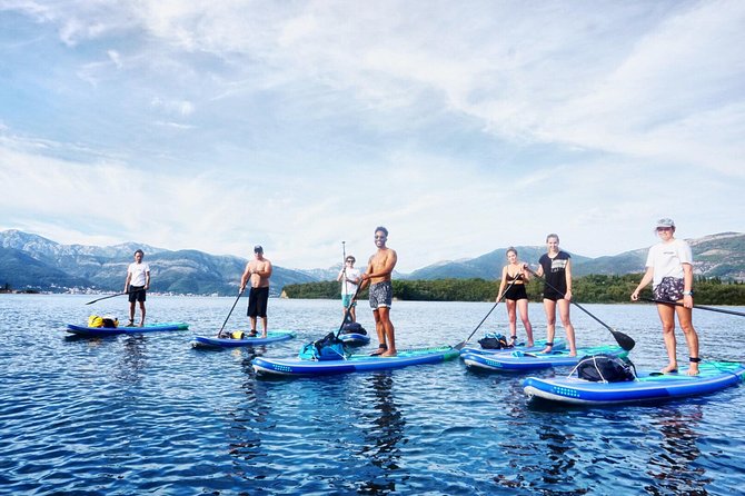 Stand-Up-Paddle Board at Bay of Kotor From Tivat or Kotor - Participant Requirements and Safety