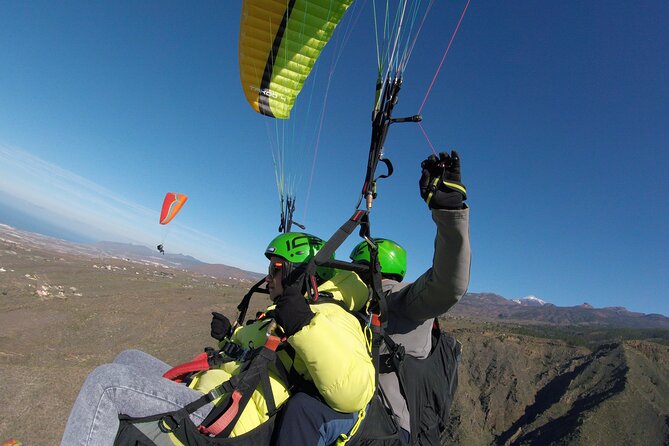 STANDARD Flight - Participation Guidelines