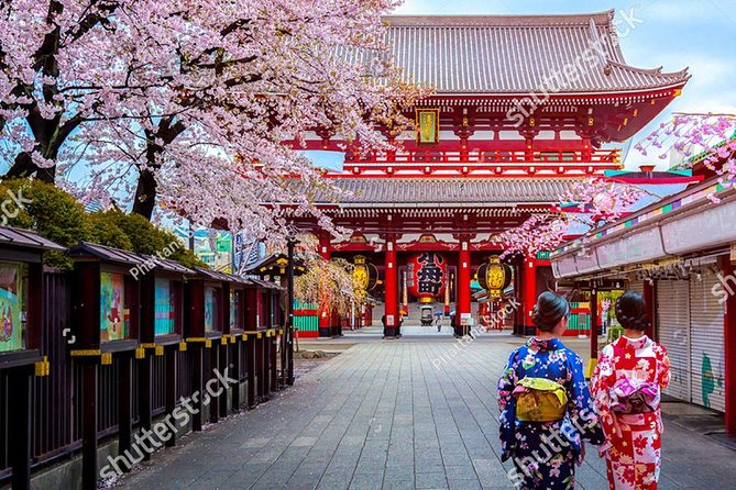 Starter Tour in Tokyo _Visiting Must-See Spots and Practical Guidance - Accessibility and Requirements