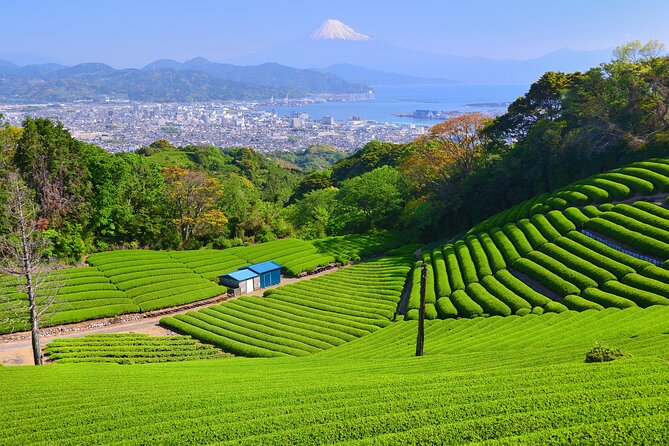 Step-Free Easy Going Tour From Shimizu Port / Van Taxi - Booking Information