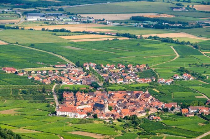 Strasbourg, Colmar, Eguisheim, Riquewihr: Private Excursion - Riquewihr: A Haven for Food Souvenirs