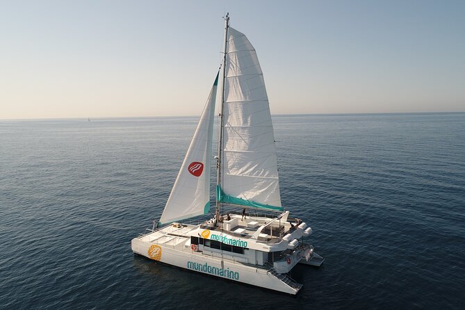 Sunset From a Catamaran in Malaga - Booking and Cancellation Details