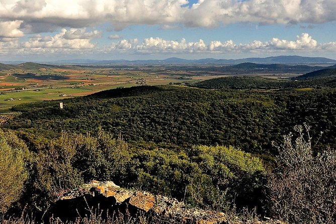 Tarot Garden and Maremma Park - Typical Maremma Cuisine