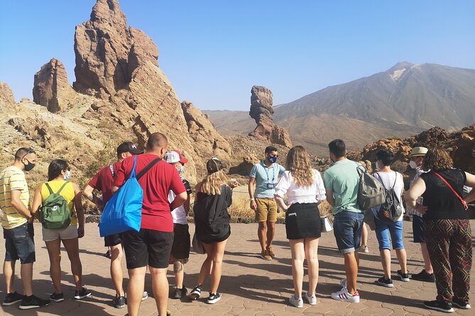 Teide National Park - Guided Tour Highlights