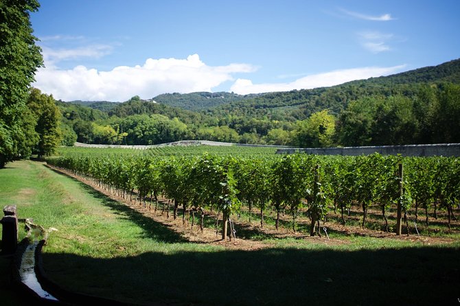 The Amarone Chateau Guided Tour and Tasting in Valpolicella - Exploring Tenuta Santa Maria Wine Estate