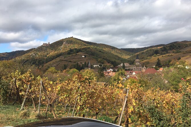 The Little Alsatian Luxury Tour Local Private Friendly Driver - Booking and Availability