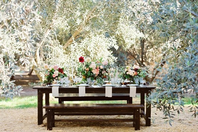 Think of a Romantic Meal in the Olive Trees Shade, Accompanied by Tuscan Wines! - Tour Accessibility and Policies