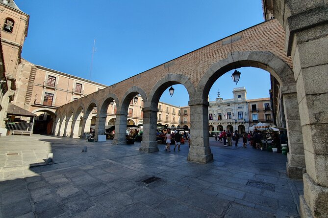 Three World Heritages Sites - Toledo, Segovia and Ávila Private Tour From Madrid - Guest Feedback and Recommendations
