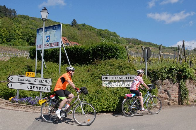 Through Alsace Vineyards and Wine Villages Private Bike Tour - Guide and Safety