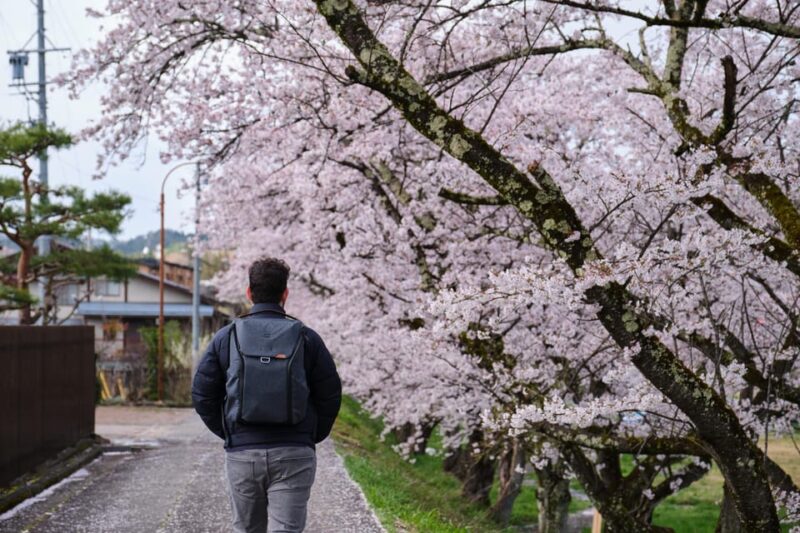 Timeless Takayama: A Walk Through History and Beauty - Exploring Takayamas Hidden Gems