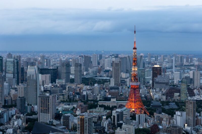 Tokyo: 1-Day Private Customizable Tour by Car - Pickup and Drop-off Details