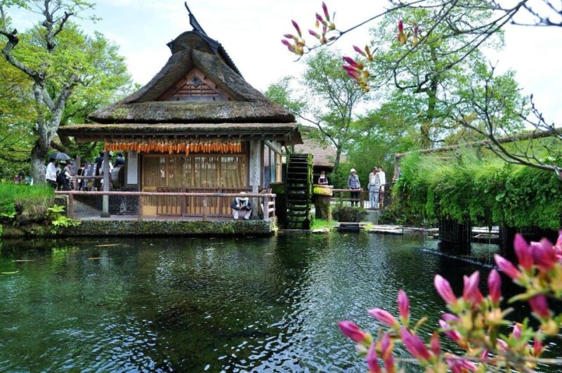 Tokyo: 2-Day Customizable Private Tour With Hotel Transfer - Inclusions and Important Information