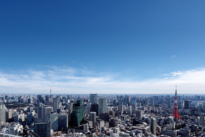 Tokyo 6hr Instagram Highlights Private Tour With Licensed Guide - Traveler Experiences and Feedback