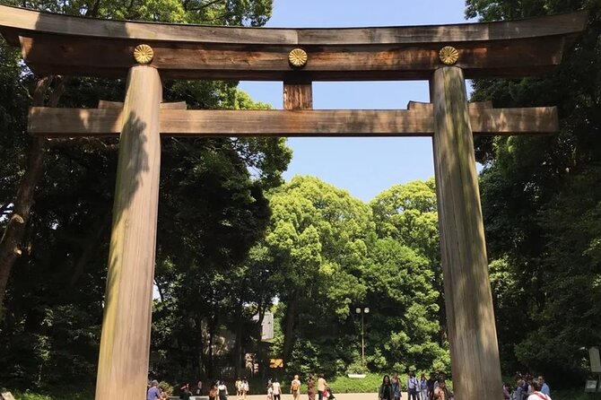 Tokyo 7-Hour Free Choice Tour - Accessibility