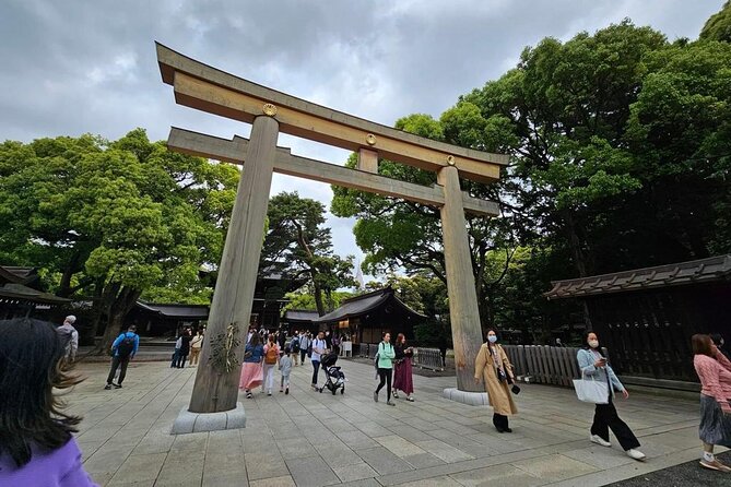 Tokyo Cherry Blossom Private One Day Tour - Meeting and Pickup Information